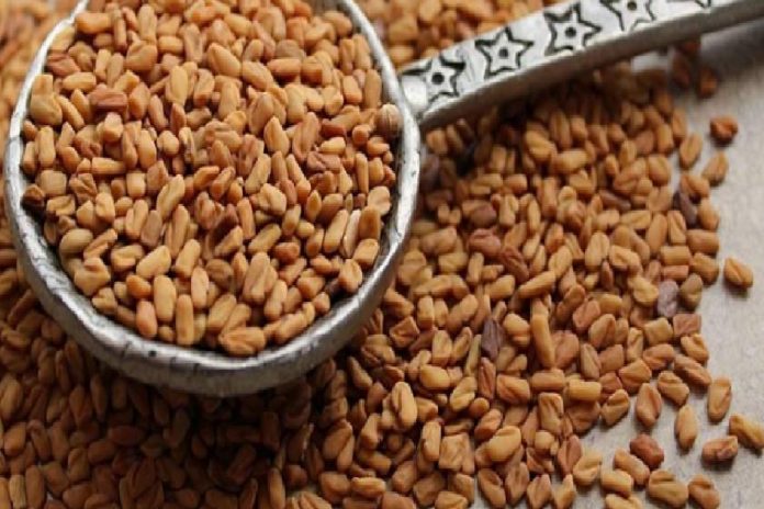 Çemen otu nedir? Çemenin faydaları nelerdir? Çemen otu çayı nasıl ... Çemen otu nedir? Çemenin faydaları nelerdir? Çemen otu çayı nasıl ...